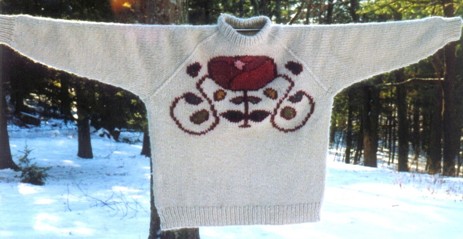 Knitting Pattern – Wild Rose Raglan, Knit Arts & Crafts Women's Lopi ...