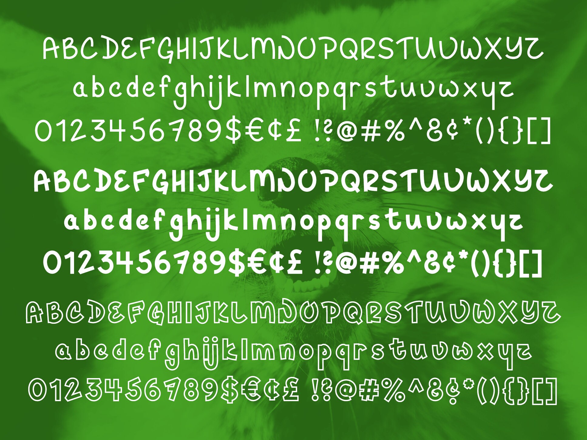 Hey Fox Font Trio Plus 90+ Bonus Cartoon Arrow Graphics | OTF & TTF and ...
