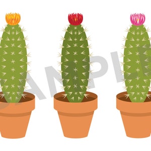 SALE Potted Cactus Clip Art, PNG, SVG, Vector, Succulent, Houseplant ...