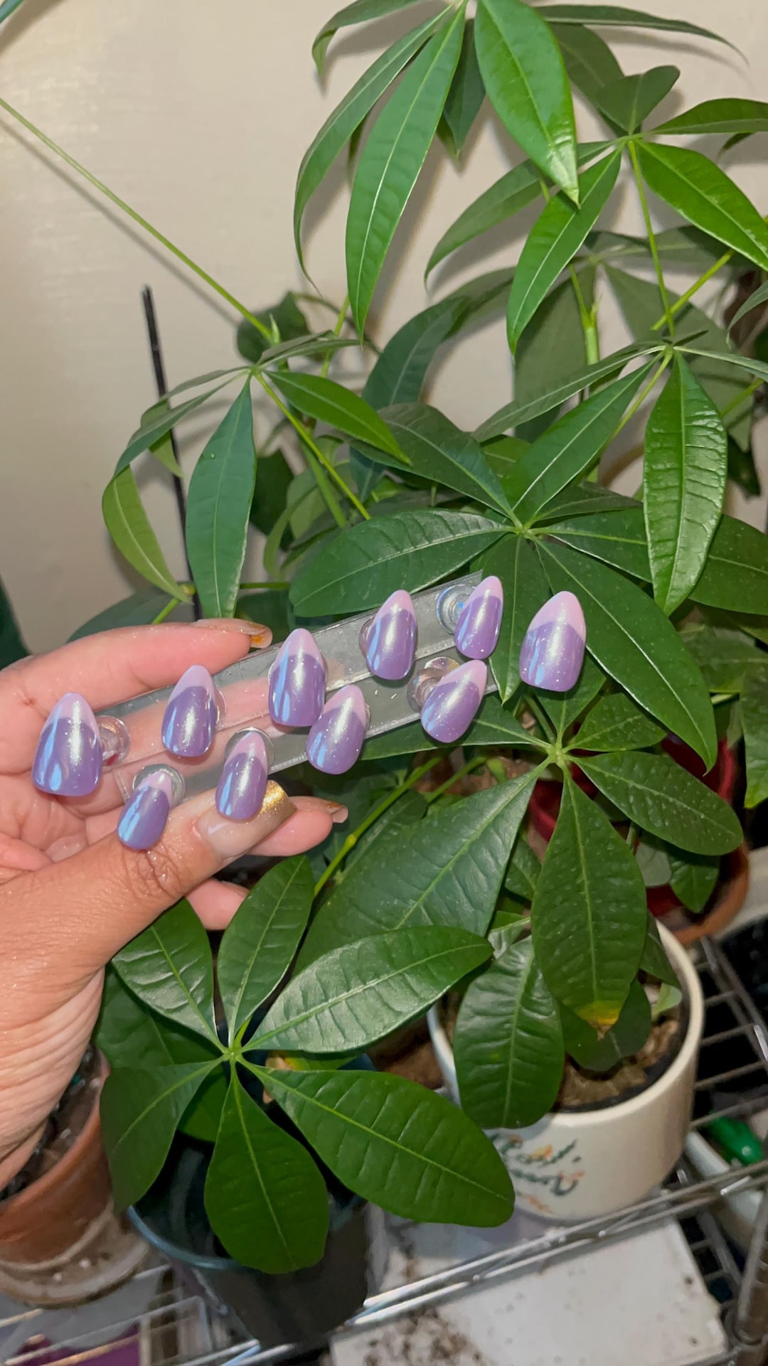 Purple and Pearl Chrome French Tip Press on Nails *made to Order* - Etsy
