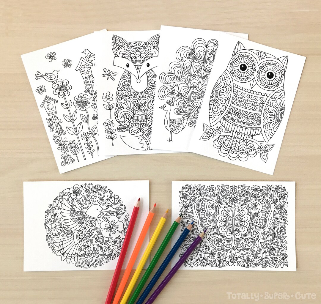 Box of 12 COLORING CARDS 5 X 7 Notebook Doodles Super Cute Animals ...