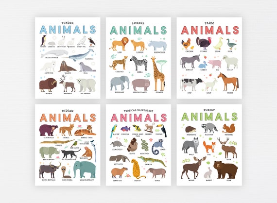 Animal Education Learning Posters BUNDLE Print Set Arctic | Etsy