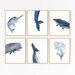 Whale Animal Prints · Set of 6 · Ocean Sea Nursery Theme · Narwhal ...