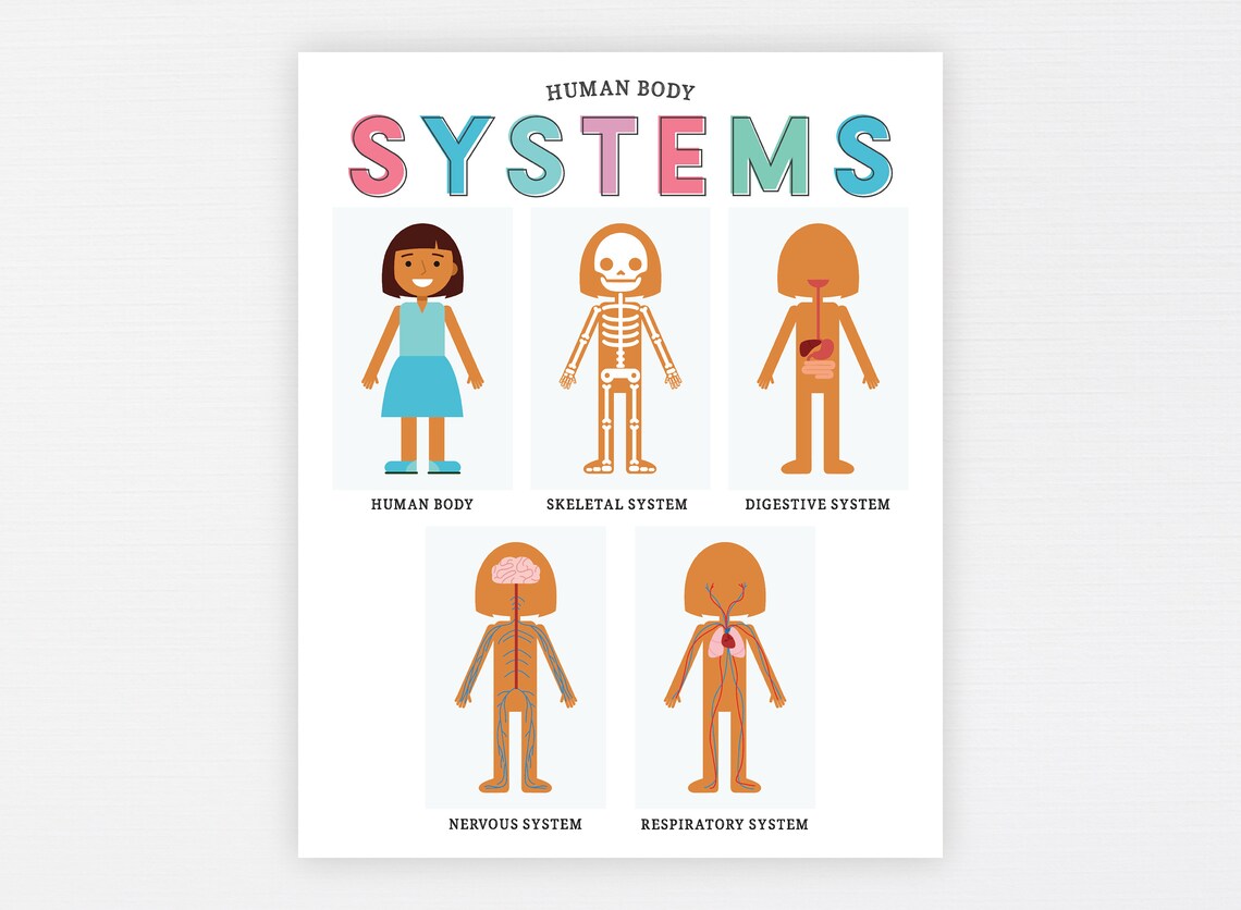 Human Body Systems Education Printable Homeschool Learning | Etsy