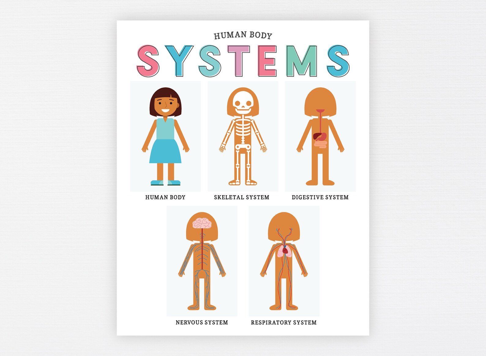 Human Body Systems Education Printable Homeschool Learning | Etsy