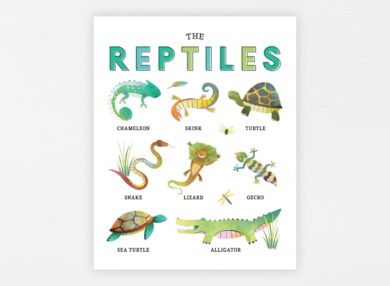 Reptiles Education Printable Reptile Lizard Snake Homeschool | Etsy