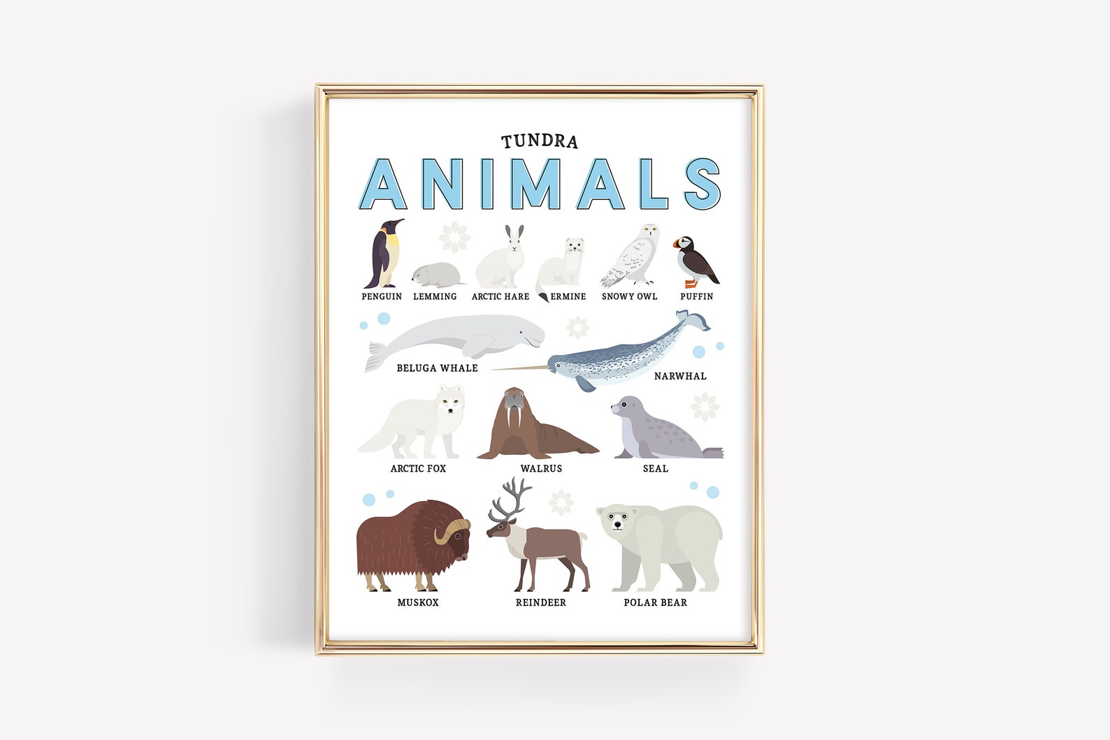 Arctic Tundra Animals Education Printable Homeschool Learning ...