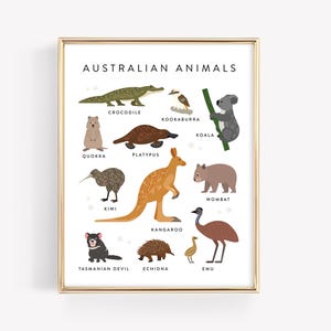 Australian Animals Poster · Education Printable · Homeschool Learning ...