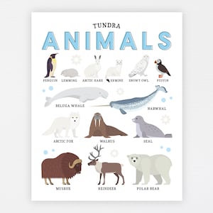 Arctic Tundra Animals Education Printable Homeschool - Etsy