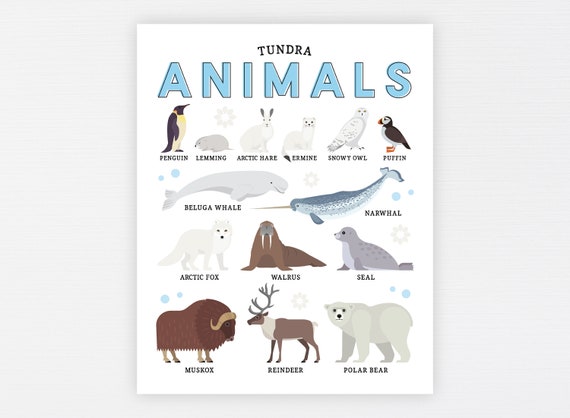 Tundra Animals With Names