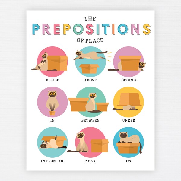 Montessori Parts of Speech - Etsy