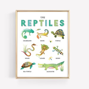 Reptiles Education Printable Reptile Lizard Snake Homeschool Learning ...