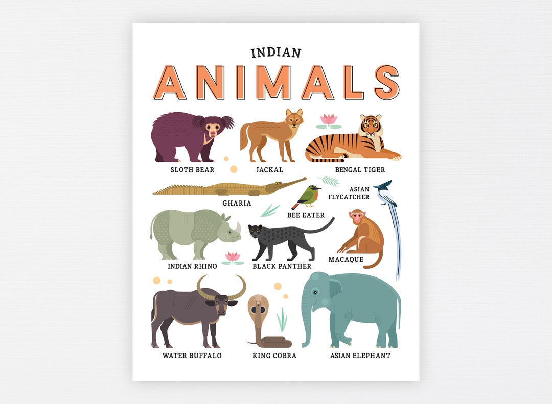 Asian Indian Animals Education Printable Homeschool Learning Montessori ...