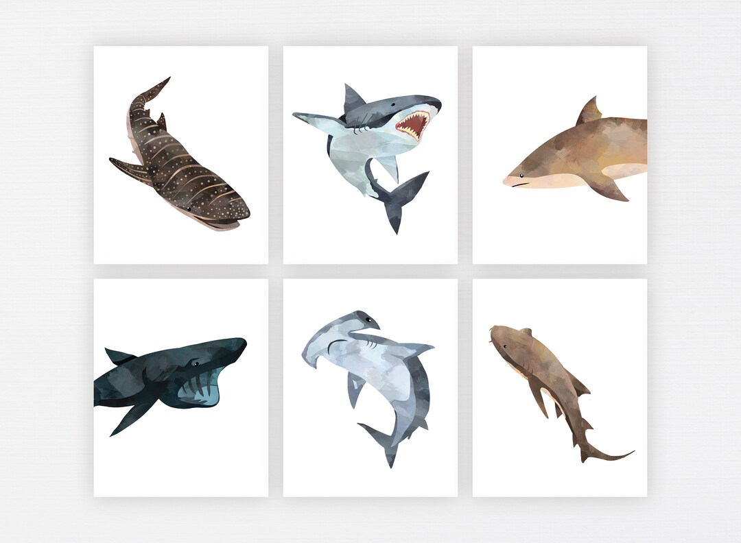 Shark Prints Set of 6 Shark Nursery Ocean Sea Animal Nursery Shark ...