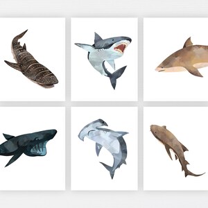 Shark Prints Set of 6 Shark Nursery Ocean Sea Animal Nursery Shark ...