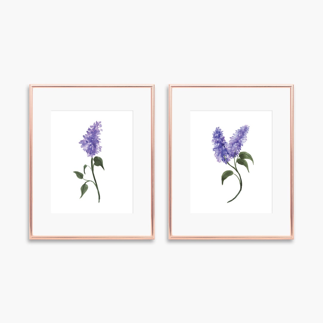 Lilac Prints · Set of 2 · Botanical Print Set · Herb Printable · Dining ...