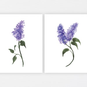 Lilac Prints Set of 2 Botanical Print Set Herb Printable - Etsy