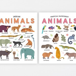 Animal Education Learning Posters · BUNDLE Print Set · Arctic Tropical ...