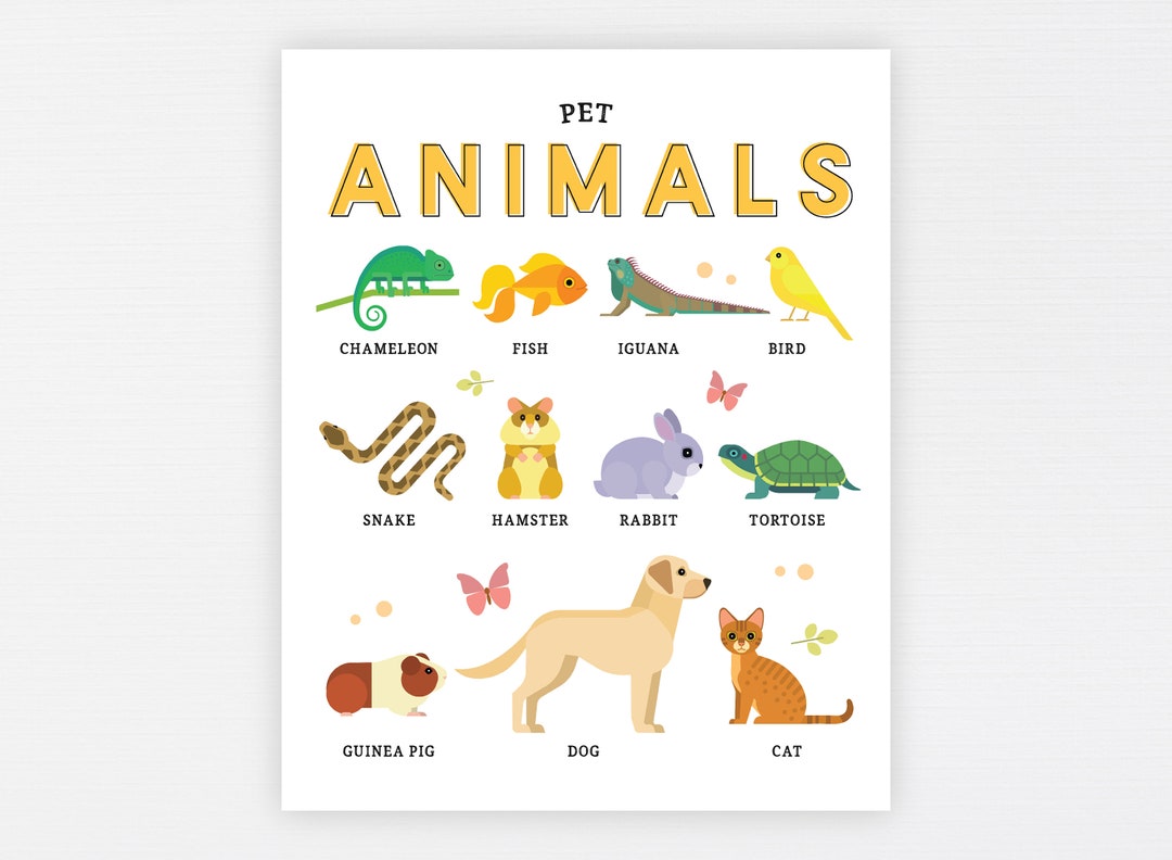Pet Animals Education Printable Homeschool Learning - Etsy