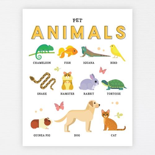 Pet Animals Education Printable Homeschool Learning | Etsy