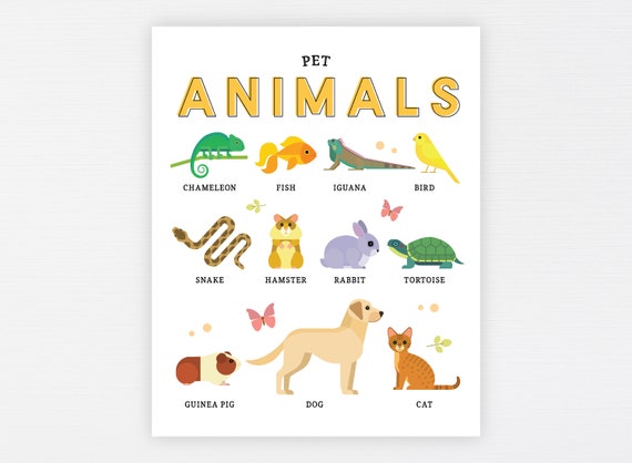 Pet Animals Pictures Chart