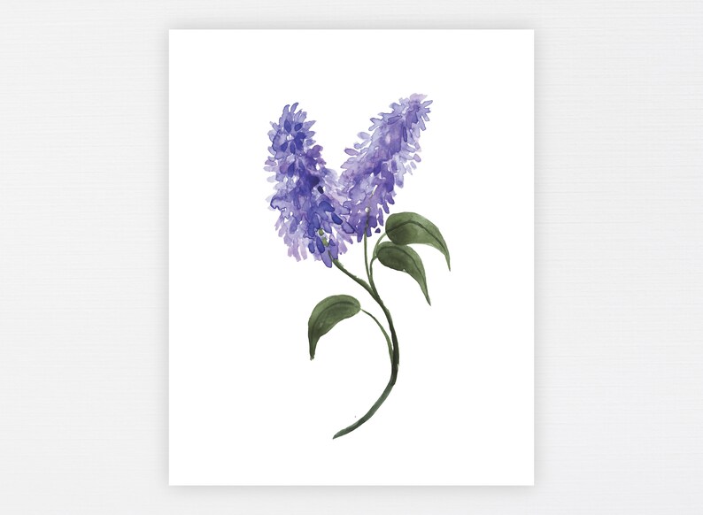 Lilac Prints Set of 2 Botanical Print Set Herb Printable - Etsy
