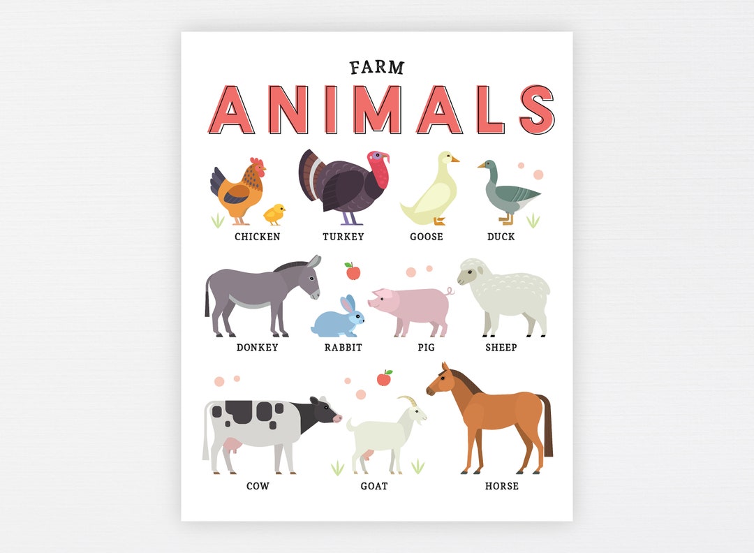 Farm Animals Education Printable Homeschool Learning Montessori ...