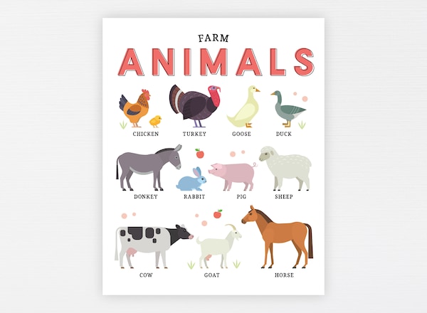 Farm Animals Poster Preschool Homeschool Animals on the - Etsy Canada
