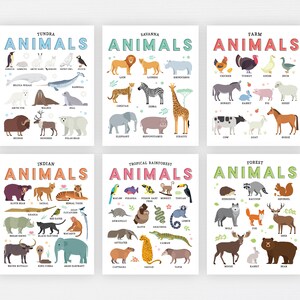 Animal Education Learning Posters BUNDLE Print Set Arctic | Etsy