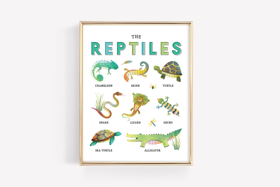 Reptiles Education Printable Reptile Lizard Snake Homeschool Learning ...