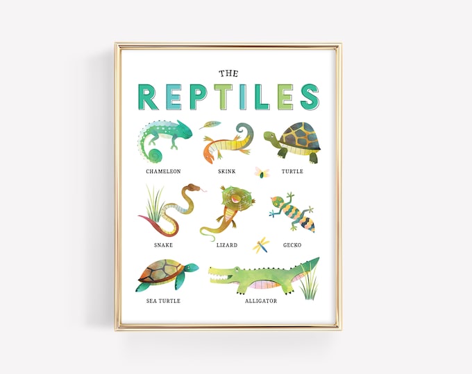 Reptiles Education Printable · Reptile Lizard Snake Homeschool Learning ...
