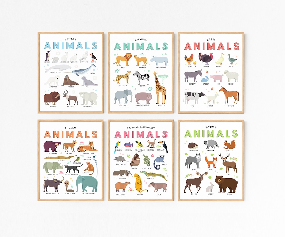 Animal Education Learning Posters · BUNDLE Print Set · Arctic Tropical ...