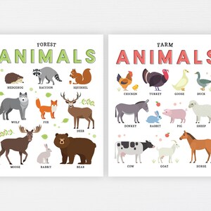 Animal Education Learning Posters · BUNDLE Print Set · Arctic Tropical ...
