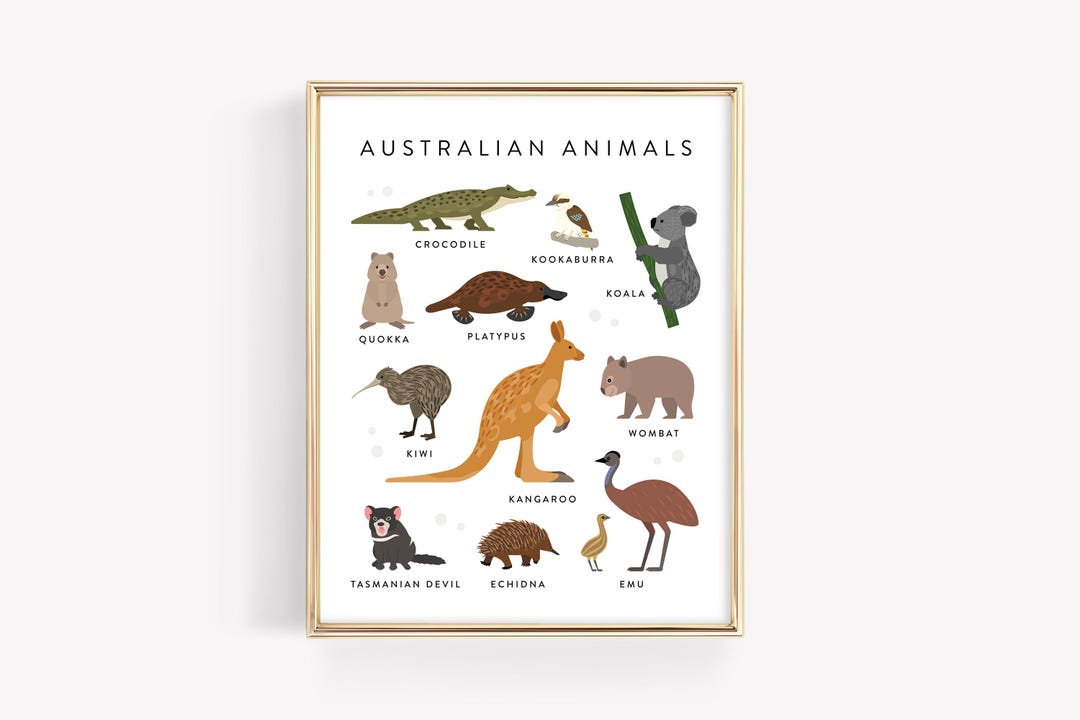 Australian Animals Poster · Education Printable · Homeschool Learning ...