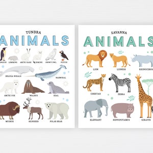 Animal Education Learning Posters · BUNDLE Print Set · Arctic Tropical ...