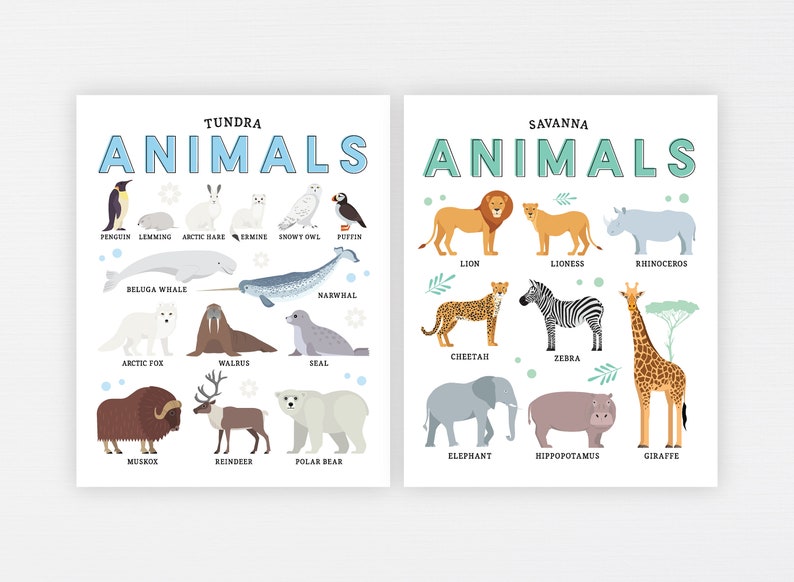 Animal Education Learning Posters BUNDLE Print Set Arctic | Etsy