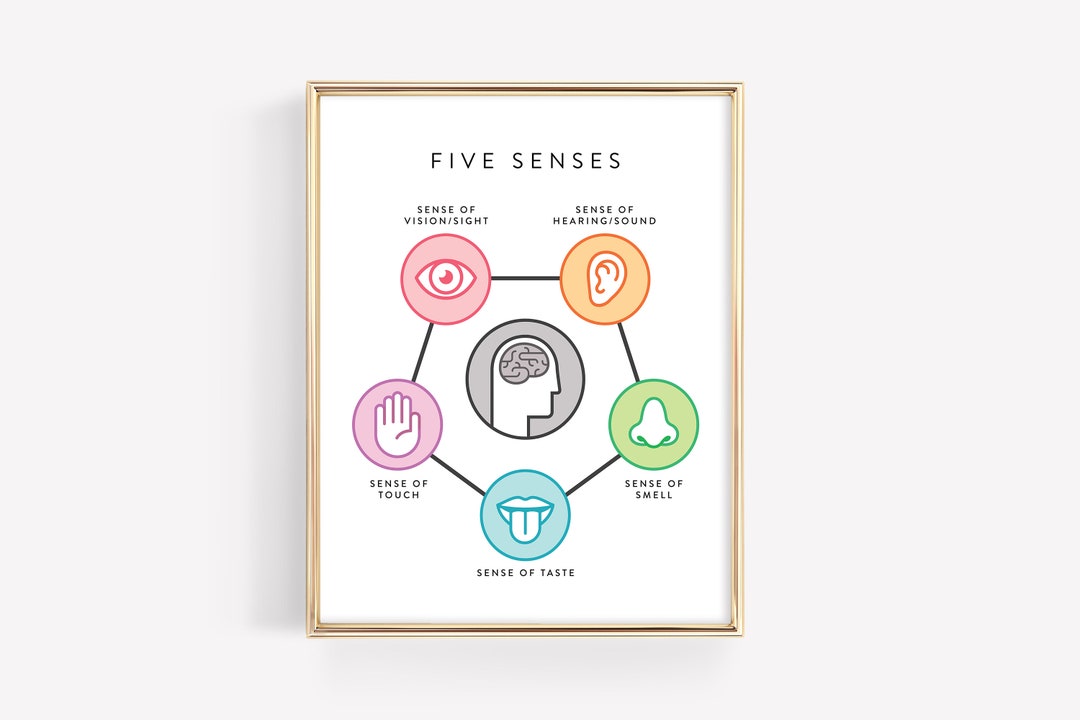 The Five Senses Poster · Education Learning Printable · Homeschool ...