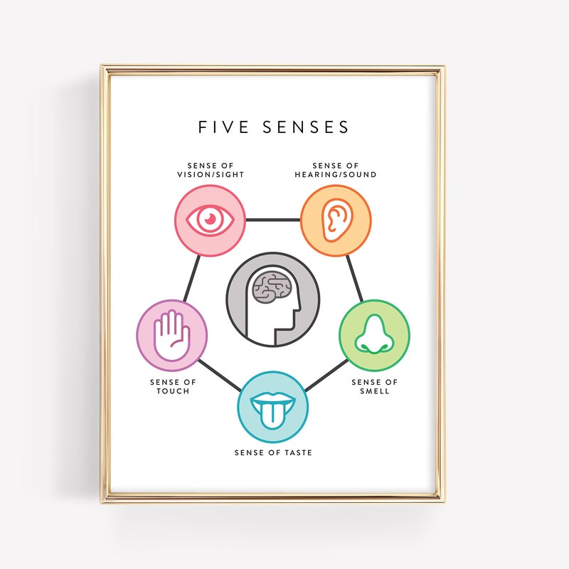Five Senses Poster - Etsy