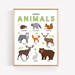 Forest Woodland Animals Education Printable Homeschool Learning ...