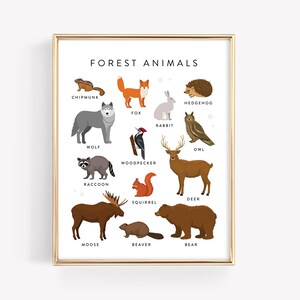 Forest Woodland Animals Education Printable · Homeschool Learning ...