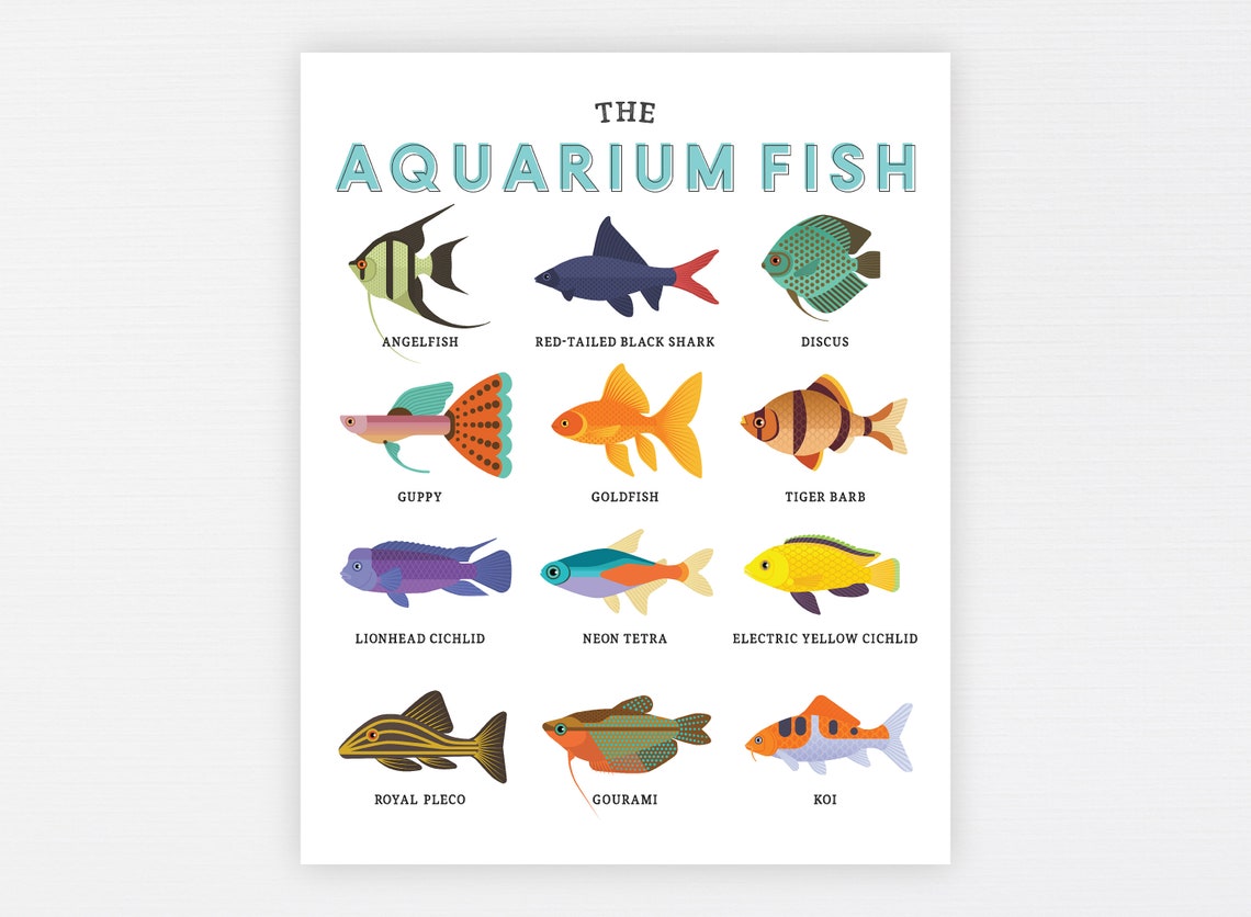 Aquarium Fish Education Printable Homeschool Learning - Etsy