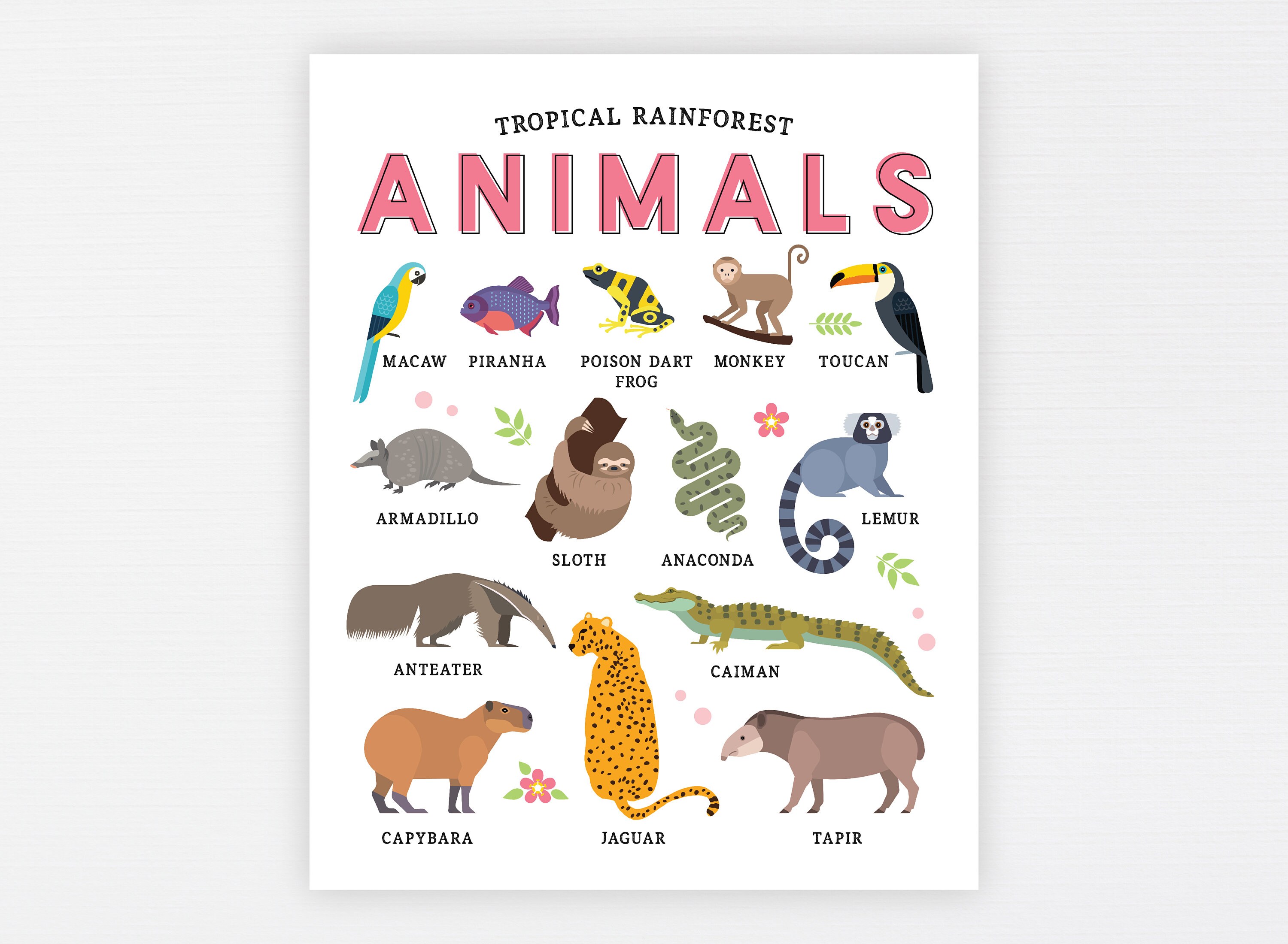 Rainforest Animals For Kids To Color