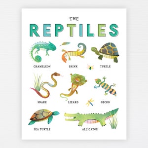 Reptiles Education Printable Reptile Lizard Snake Homeschool - Etsy