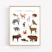 Forest Woodland Animals Education Printable · Homeschool Learning ...