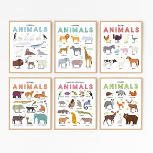 Animal Education Learning Posters · BUNDLE Print Set · Arctic Tropical ...