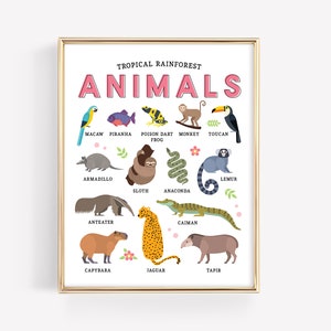 Tropical Rainforest Animals Education Printable Homeschool Learning ...
