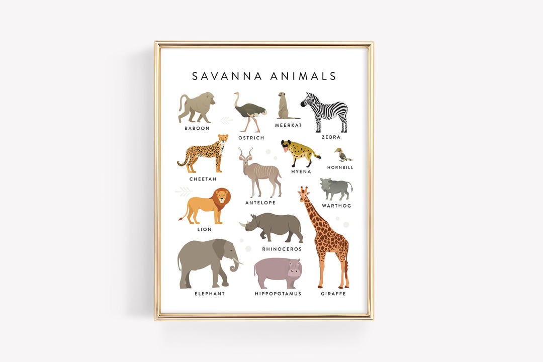 Savanna Animals · African Safari Animals Education Printable ...