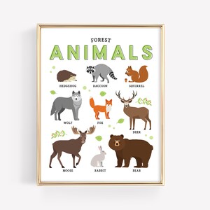 Forest Woodland Animals Education Printable Homeschool Learning ...