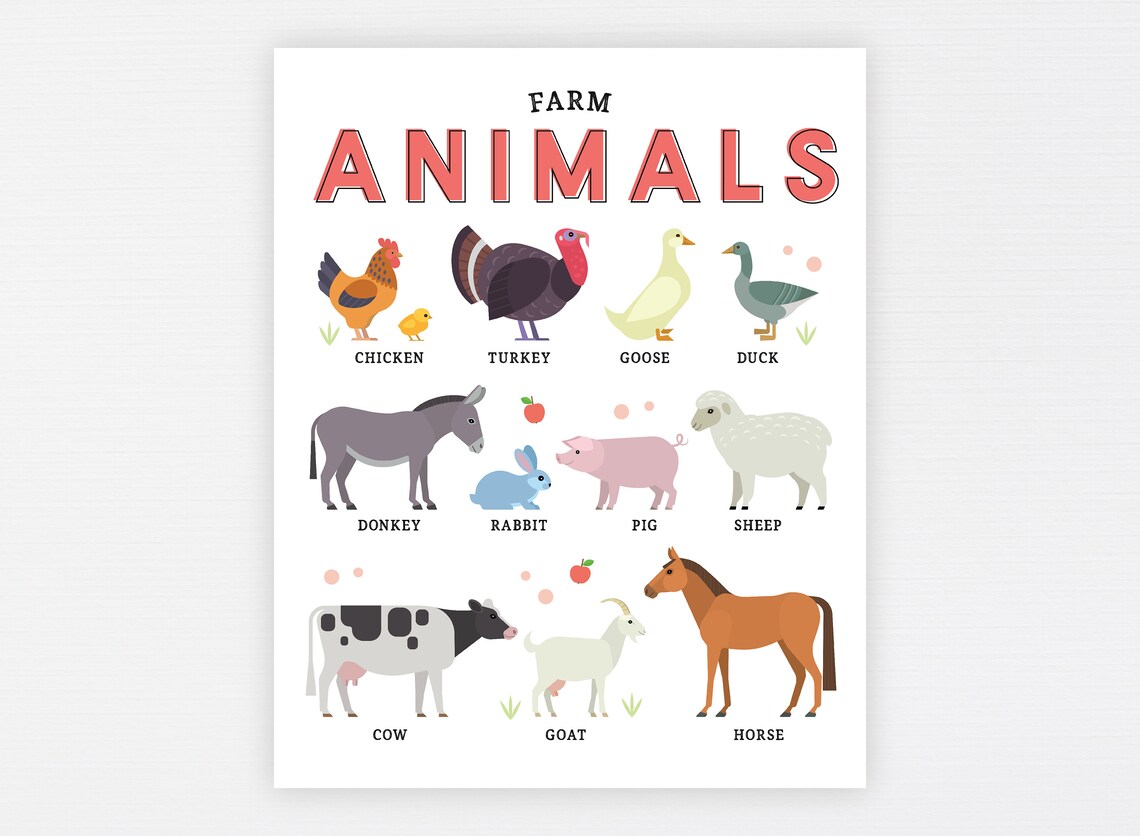 Farm Animals Education Printable Homeschool Learning | Etsy
