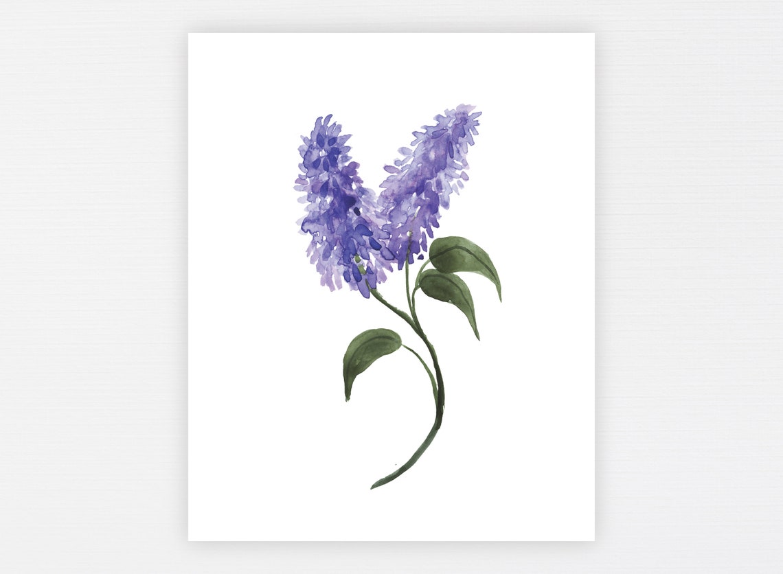 Lilac Prints Set of 2 Botanical Print Set Herb Printable - Etsy